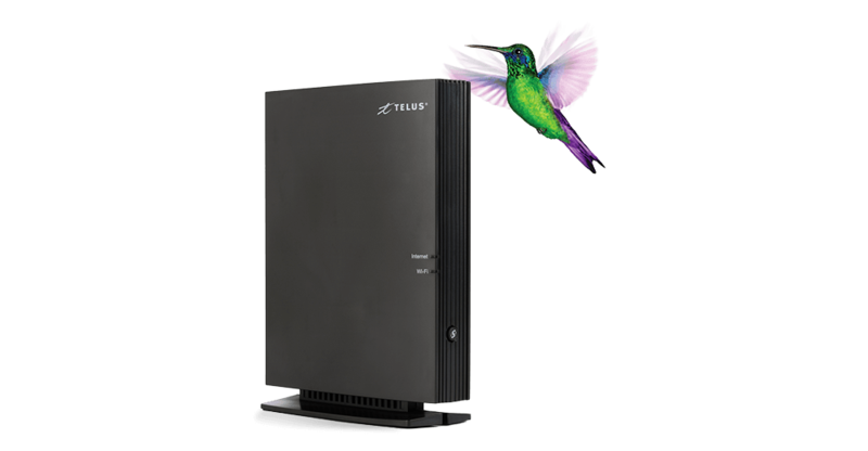 High Speed Internet service providers BC, Alberta | TELUS.com